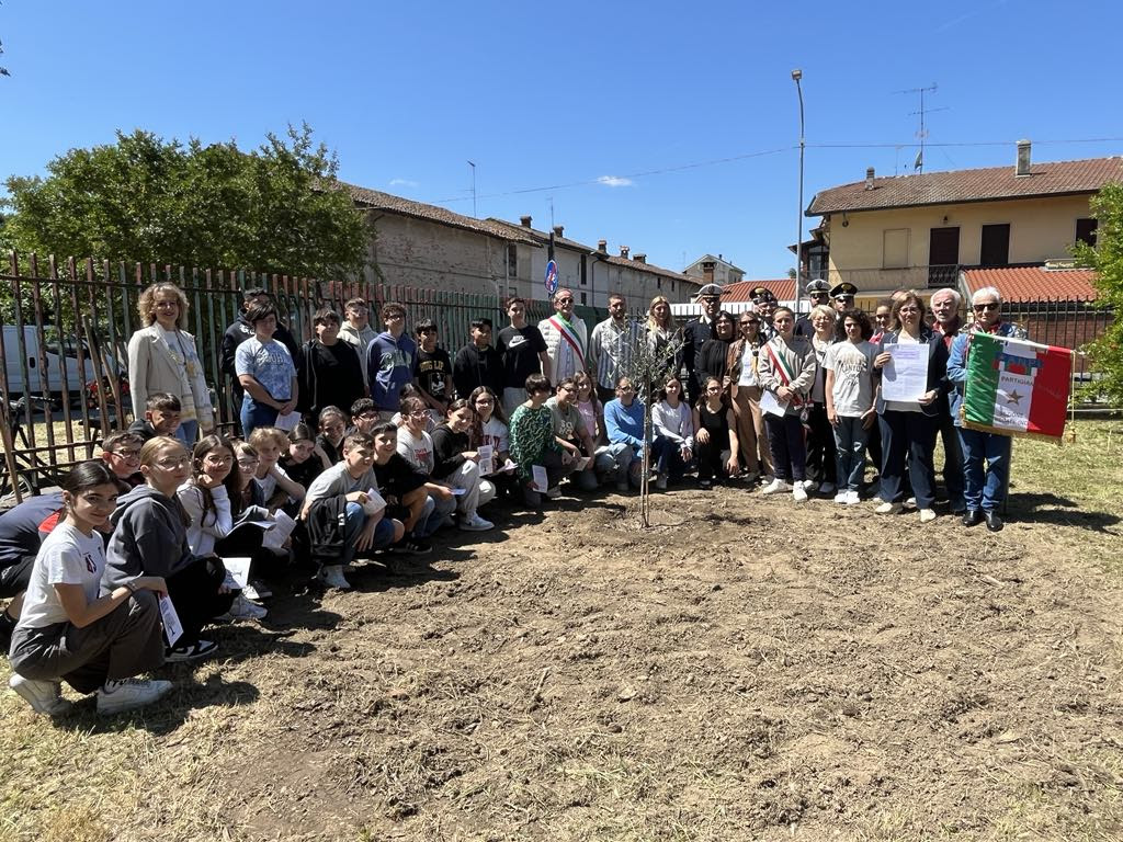 Trecate celebra la Giornata della Legalità: piantato un ulivo alla scuola “Cassano” - Corriere ...