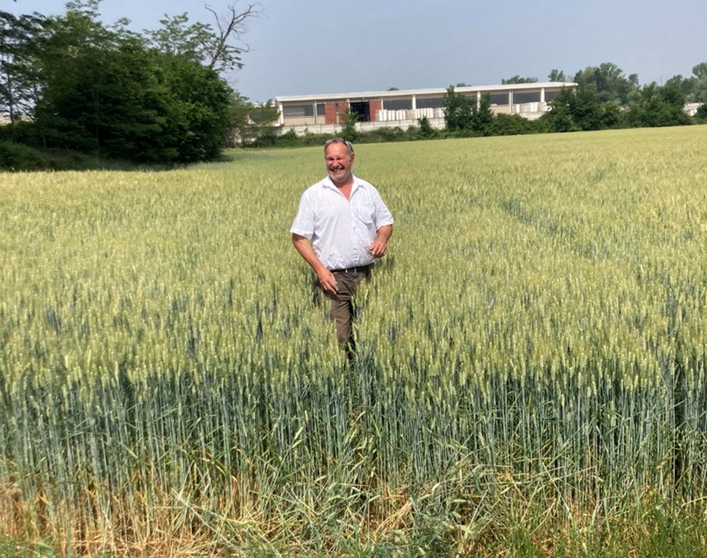 Un biofertilizzante che aiuta le piante, l’ambiente e le tasche degli agricoltori - Corriere di ...