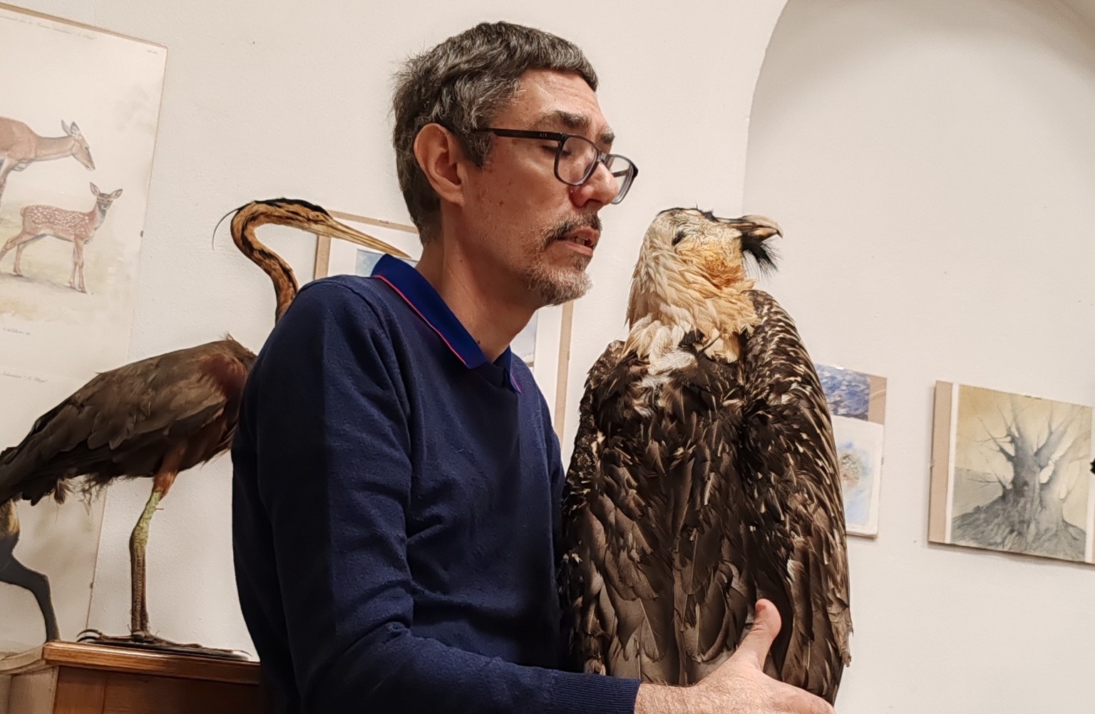 La nuova collezione Marietti va ad arricchire il Museo Faraggiana ...